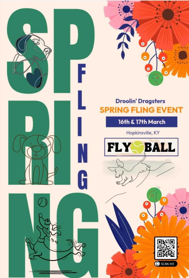Bluegrass Spring Fling Flyball Tournament